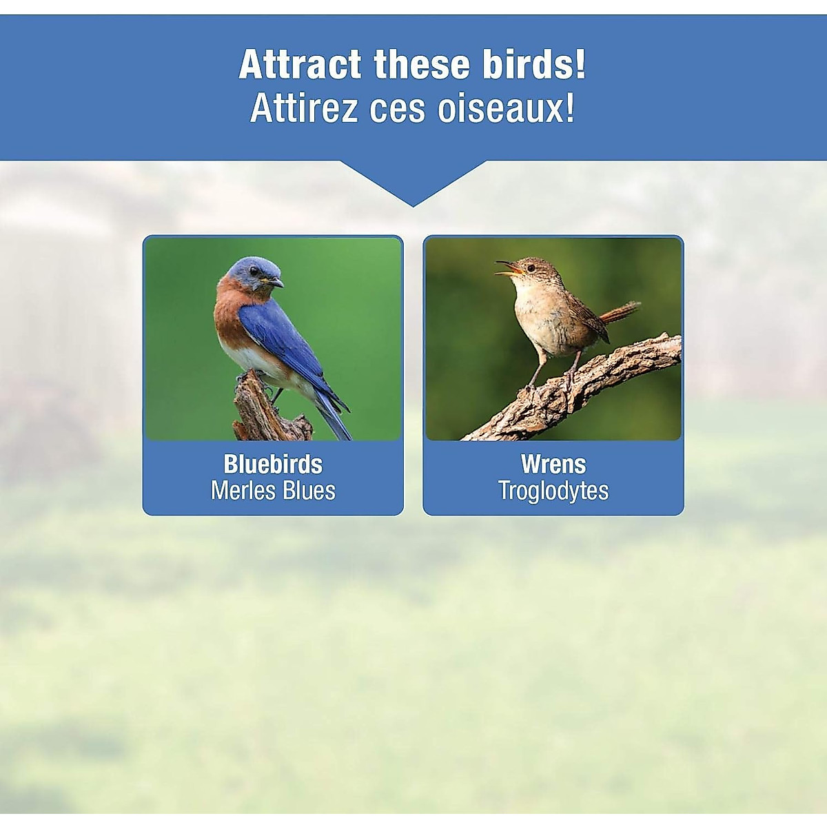 Nature's Way BBFM1 Bluebird Buffet Metal Bird Feeder with Protective Baffle, Outdoor Wild Bird Feeder and Décor, One Glass Dish with 3/4 Cup capacity, Blue