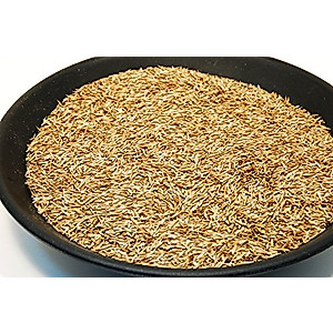 Kentucky 31 K31 Tall Fescue Grass Seed by Eretz - CHOOSE SIZE! State Certified, No fillers, No Weed or Other Crop Seeds (5lbs)