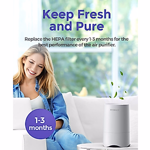 ROSEKM 1-Year Pack Air Purifier Replacement Filter for AP001R, True HEPA Filter, 4 Pack