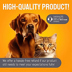 Dog Ear Infection Treatment + Colloidal Silver ● Ear Infection Treatment for Dogs & Cats ● Drops for Irritations, Itch, Odors, & Cat and Dog Ear Infection ● Silver Ear Wash for Different Pets ● 2 Oz