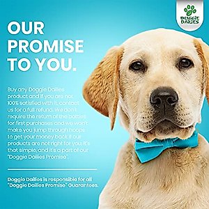 Doggie Dailies Cognitive Puppy Chews | Puppy Vitamins with DHA, Selenium, Organic Ashwagandha & Antioxidants to Support Brain Health, Nervous System Function & Promote Calmness | 120 Soft Chews