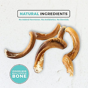 Dog Nip! 4-5" Bully Stick Springs - All Natural Bully Pizzle Bone - Grass Fed Beef - Curly Spiral Bully Sticks - Long Lasting Dog Chew Dental Treats