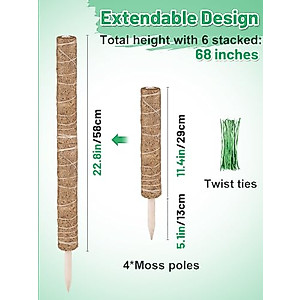 68'' Total Moss Monstera Pole Plants Support for Indoor Climbing Plants- Stable Stackable Coco Coir Stakes for Potted Plants, Easy to Use (6 Pack)