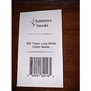 300 Tokyo Long White Bunching Onion Seeds | Non-GMO | Fresh Garden Seeds