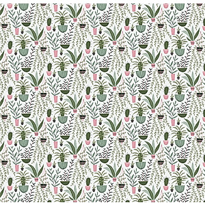 Stesha Party Plant Wrapping Paper Gift Wrap - Folded Flat 30 x 20 Inch - 3 Sheets