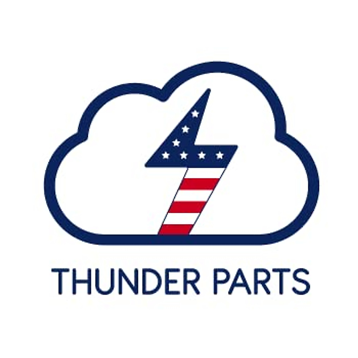 Thunder Parts R250 AVR - Automatic Voltage Regulator - Exact Generic Replacement - 2 Year Warranty!