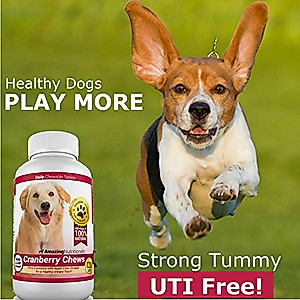 Amazing Cranberry for Dogs Pet Antioxidant, Urinary Tract Support Prevents and Eliminates UTI in Dogs, 120 Chews