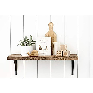 Our Little Adventures: Stories Featuring Foundational Language Concepts for Growing Minds (Our Little Adventures Series)