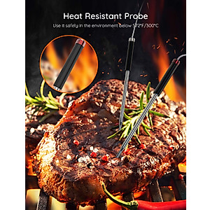 Govee Meat Thermometer 2.5mm Probe Replacement 2-Pack for Model H5055