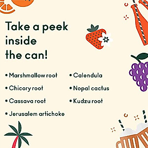 Olipop - 6-Flavor Sparkling Tonic Best Sellers Variety Pack, Prebiotic Soda Sampler, Rich in Botanicals, 9g of Dietary Plant Fiber, 2-5g Sugar per Can, Vegan, Paleo-Friendly, Non-GMO (12 oz, 12-Pack)