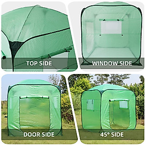 Upgraded Pop-Up Plant Greenhouse for Outdoors with Roll-up Zipper Entry Doors and Windows, Durable PE Cover, Walk-in and Portable Fast Set-up Green House with Ground Pegs & Ropes for Stability