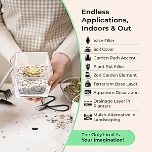 Premium Pebbles Black Rocks for Plants. Polished Decorative Pebbles. 3/8 Inch 2 lbs for Garden, Indoor, Crafting, Succulents, pots, Plants (XSM (0.375 Inch), Black -Polished, 2)