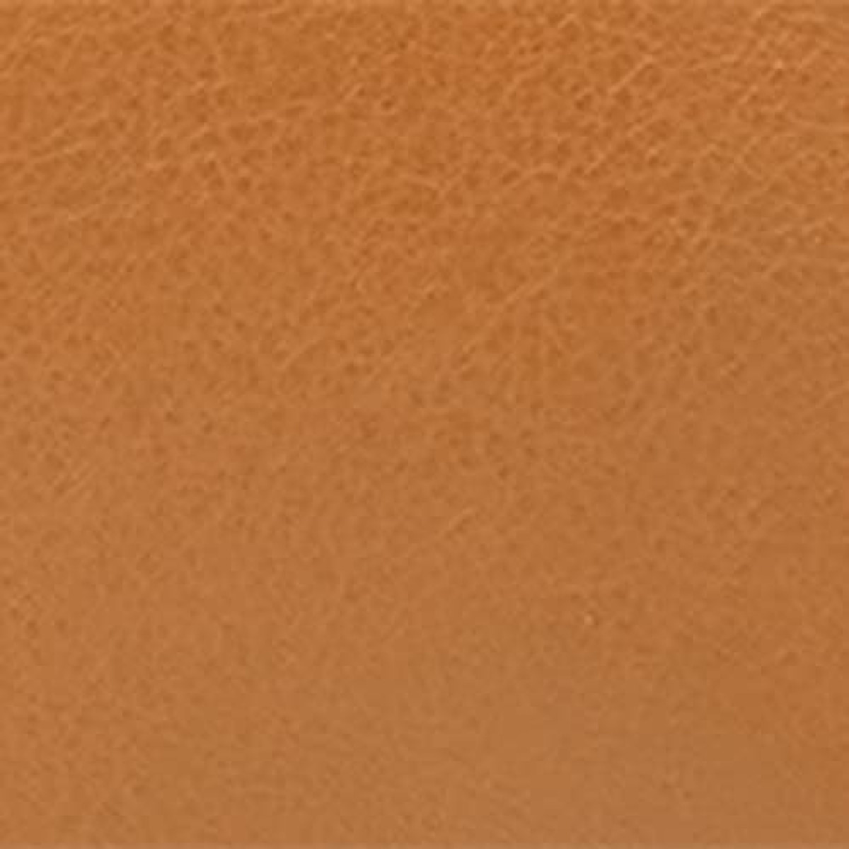 Fossil Women's Carlie Leather Satchel Purse Handbag