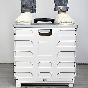 Collapsible Outdoor Storage Box with Cover 45L Foldable Camping Box Portable Trunk Car Grocery Case