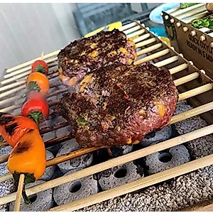 CasusGrill Single Use Biodegradable Grill