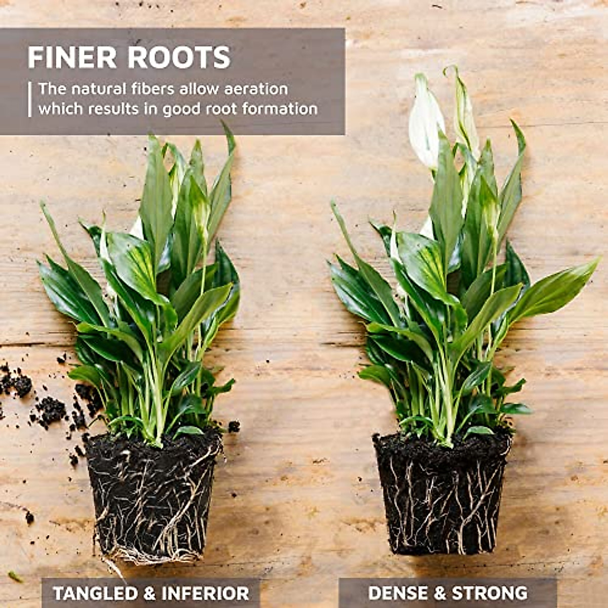 UBICON Easy to Use Compressed Coco Coir Organic Top Soil for Indoor and Outdoor; Each Brick Gets 7 Quarts, Excellent Aeration, Reduces Weed Growth, and Retains Water (1, Brick),Brown