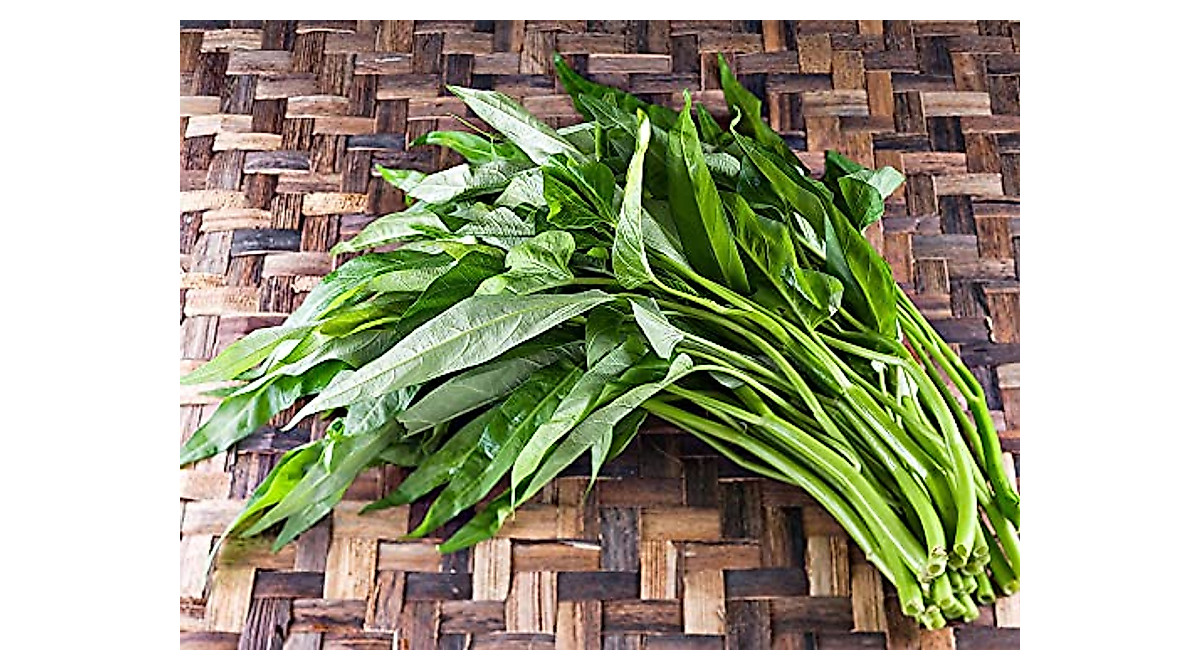 Gaea's Blessing Ong Choy Seeds - Non-GMO & Easy to Grow
