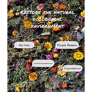 BGUNDI KHZYK 3.5oz Forest Hamster Moss & 1.76oz Hamster Flowers,Hamster Bedding Suitable for Dwarf Hamsters and Syrian Hamsters,Hamster Sprays,Hamster Habitat Decor for Hamster Cage Accessories