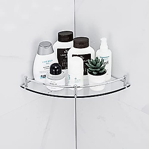 Paradmas Glass Corner Shower Shelf 2 Pack - Shower Caddy Tempered Glass Shower Rack with Rails SUS 304 Wall Mounted Bathroom Shower Organizer for Inside Shower, 24cmx24cmx6mm, Silver