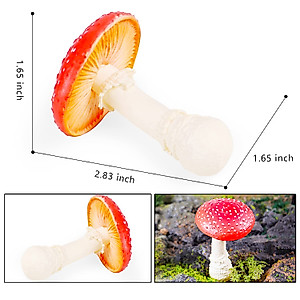 Hiawbon 6 Pcs Miniature Mushroom Figurine Plastic Mushroom Model Realistic Artificial Mushroom Fairy Garden Landscape Decoration Supplies