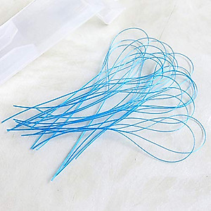 EasyHonor Dental Floss Threaders for Braces, Bridges, and Implants,210 Count (Pack of 6)