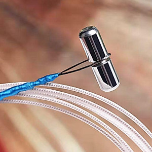 LANDTOM Chinese Guzheng Accessory Steel Wire and Nylon Guzheng String 1-21# Pack of 21 (full set)