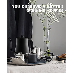 Electric Kettle, 100% Stainless Steel BPA-Free Electric Tea Kettle, Gooseneck Kettle, Electric Teapot with Auto Shut-Off Protection,1000 Watt Quick Heating, Keebar, Black, XH-W081-B