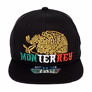 Mexican Hat Mexico State Federal Name Embroidered Snapback Flat Bill Baseball Cap (State-Monterrey) Black