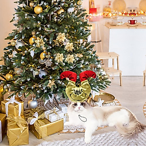 Funny Christmas Pet Hat,Festive Xmas Holiday Accessory for Small Dogs/Cats, Crazy Decoration for Party Holiday,Green 1Pcs