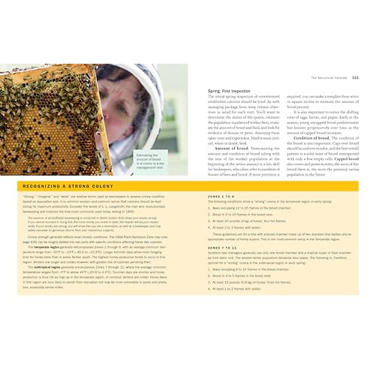 Storey's Guide to Keeping Honey Bees, 2nd Edition: Honey Production, Pollination, Health (Storey’s Guide to Raising)