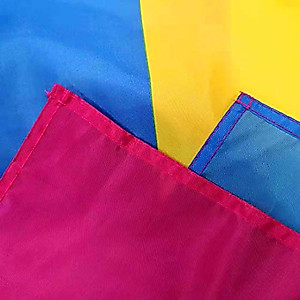 FLAGLINK Pansexual Flag 3x5Fts - Pansexuality Omnisexuality Pride Banner
