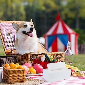 Acrylic Tissue Box Cover Rectangle, PITBVO White Tissue Box Holder, Facial Napkin Dispenser for Bathroom Kitchen Bedroom Office Hotel Use Shiny White