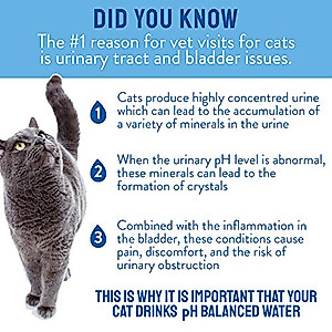 CATWATER by VETWATER | ph-Balanced and Mineral-Free Cat Water | Clinically Proven Urinary Formula | Helps Prevent Cat Urinary Issues, FLUTD | 135.2 oz, 2-Pk, Clear (CW60101-2)
