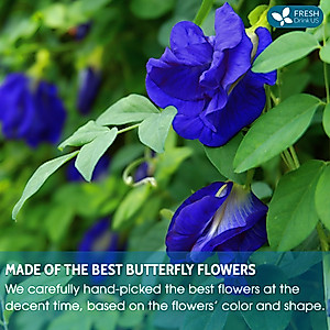 FreshDrinkUS, Premium 1010+ Butterfly Pea Flowers, 100% Natural & Pure from Whole Blue Butterfly Pea Flowers, Wildcrafted, Dried Blue Butterfly Pea Flowers Herbal Tea, No Gluten, Vegan