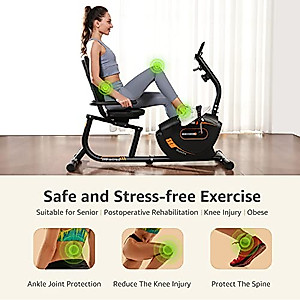 JEEKEE Recumbent Exercise Bike for Adults Seniors - Indoor Magnetic Cycling Fitness Equipment for Home Workout