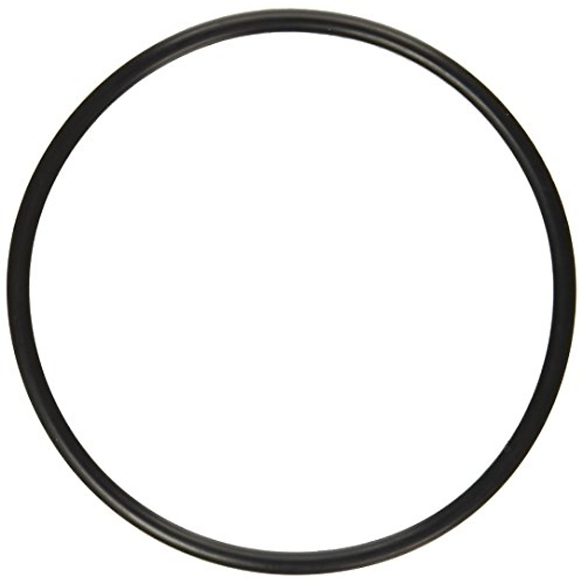 Pentair 272541 O-Ring Replacement Pool/Spa Filter and Valve, Black