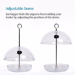 Bluebird Feeder - Jacobi Jayne® Pearl Feeder Dome Bird Feeder for Small Birds - Bluebird Feeder for Mealworms - Platform Bird Feeder Dome Cover - Covered Mealworm Feeder attracts Blue Birds