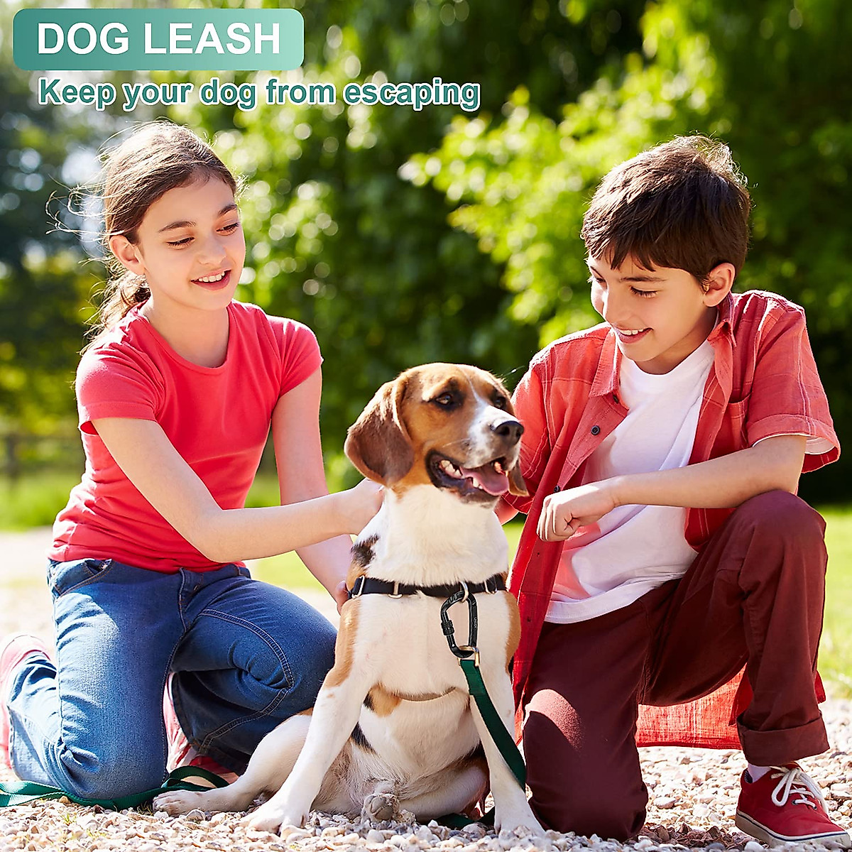 Unijoy Carabiner - Locking Caribeaner Clip: Heavy Duty Carabiner Clips for Hammock and Backpack | 12KN Aluminium Caribeaner