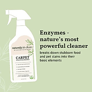 naturally it's clean Carpet Stains & Odors Cleaner; Plant Based Enzyme Safely Cleans Pet/Food Stains, Grease & Ink from Carpets, Rugs, Upholstery & Drapery, 24oz Spray Bottle x 2 Pack
