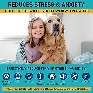 Woyamay Dog Calming Diffuser - Dog Pheromones Calming Diffuser for Dog Anxiety Relief 6-in-1 Dog Pheromone Diffuser Kit with 2 Diffuser + 4 Refill 48ml Vial - 120 Days Pheromone Diffuser to Calm Dogs