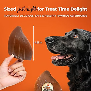 NutriChomps Nutri Ears-Easy to Digest, Rawhide-Free Dog Treats, Bundle of 10, Real Chicken Flavor, Brown (NT082V-10)
