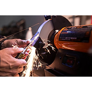 WEN BG4282 4.8-Amp 8-Inch Single Speed Bench Grinder with LED Work Lights, 14 x 10 x 11.75 inches, Black and Orange