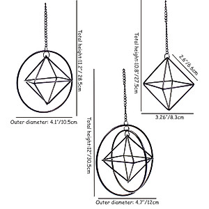 ZOOELAY Air Plant Hanging Holders Black Airplants Hanging Cage Sets Wall Air Planters Hanger 6 Geometric Airferns Indoor Display Frame