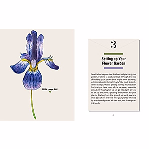 Flower Gardening for Beginners: A Guide to Growing and Maintaining a Cut-Flower Garden