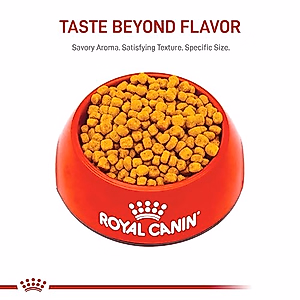 Royal Canin Indoor 7+ Adult Dry Cat Food, 5.5 lb bag