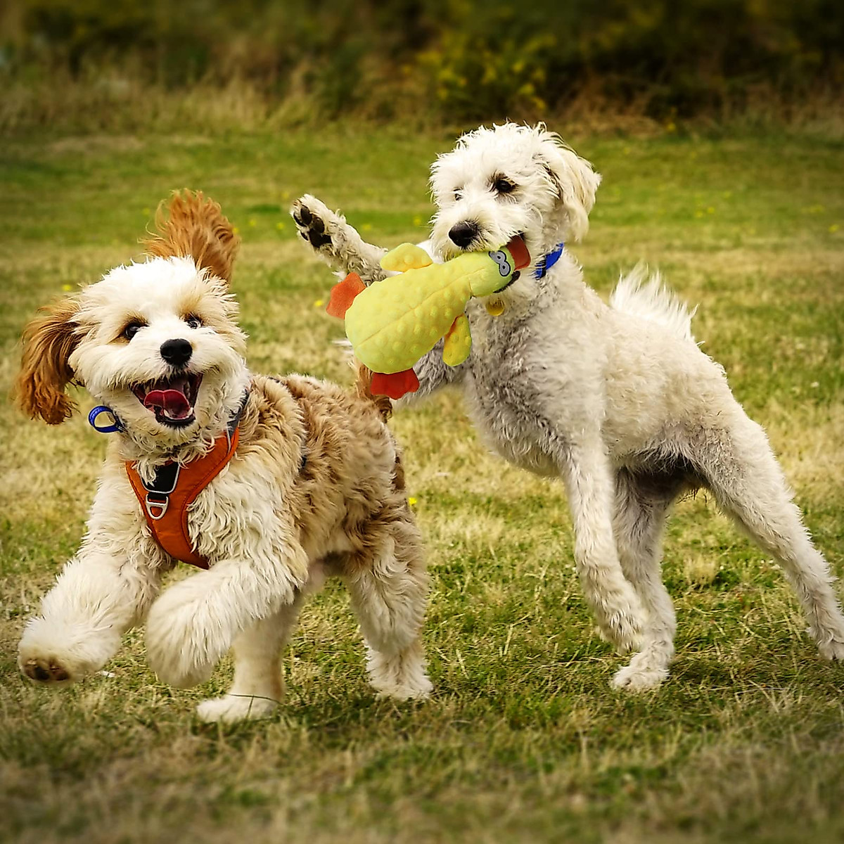 Alphatool Squeaky Dog Toys, Duck Dog Toys for Aggressive Chewer, Tough Plush Dog Toys for Large Dogs, Crinkle Interactive Puppy Dog Toys for Small Medium Dogs (3pcs)