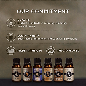 Get Away Gift Set of 6 Premium Grade Fragrance Oils - Island Hop, Ocean Breeze, Tropical Passion Fruit, Aspen Winter, Instant Vacation, Sun & Sand - 10Ml - Scented Oils