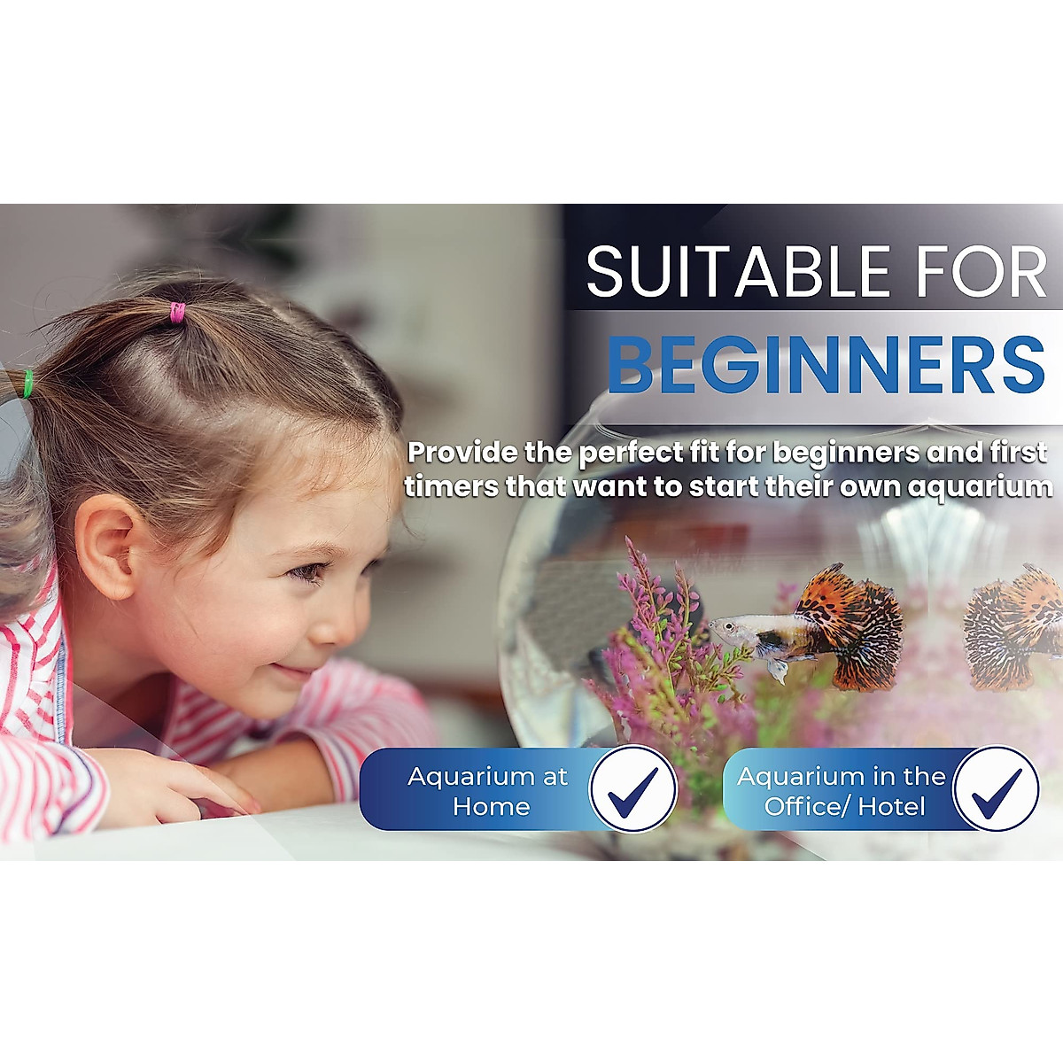 D&A Tropical Live Fish - ABINO Full RED Guppy Live Fish for Aquariums, Live Fish Freshwater (1 Breeding Pair (1Male,1Female))