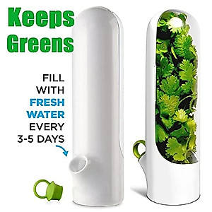 Gbbazu Herb Keeper, 1Pcs Herb Keeper Herb Storage Container Saver Preserver for Cilantro, Herb Saver Best Keeper for Freshest Produce, Asparagus, Cilantro, Mint, Parsley