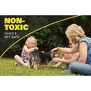 CedarStop 32 Ounce Essential Oil Yard Spray - Plant Based Flea, Tick And Mosquito Repellent Pest Control Spray Treatment And Insect Killer - Safe Around Kids, Pets, And Plants - 2 Pack